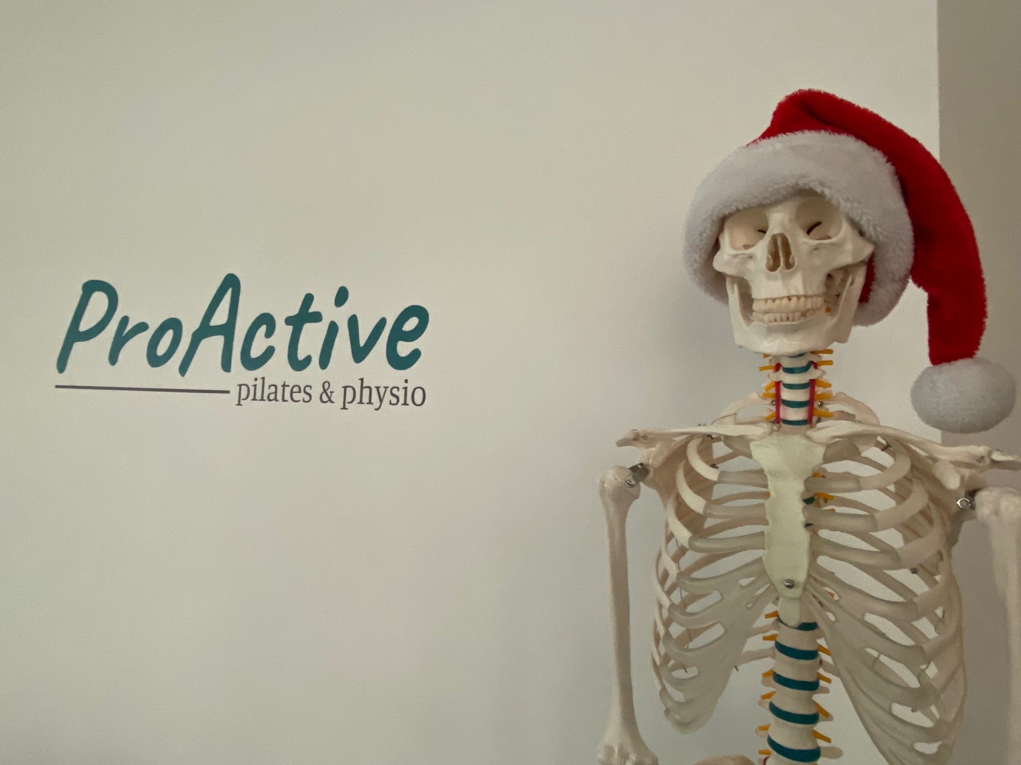 ProActive pilates & physio – pilates & physio